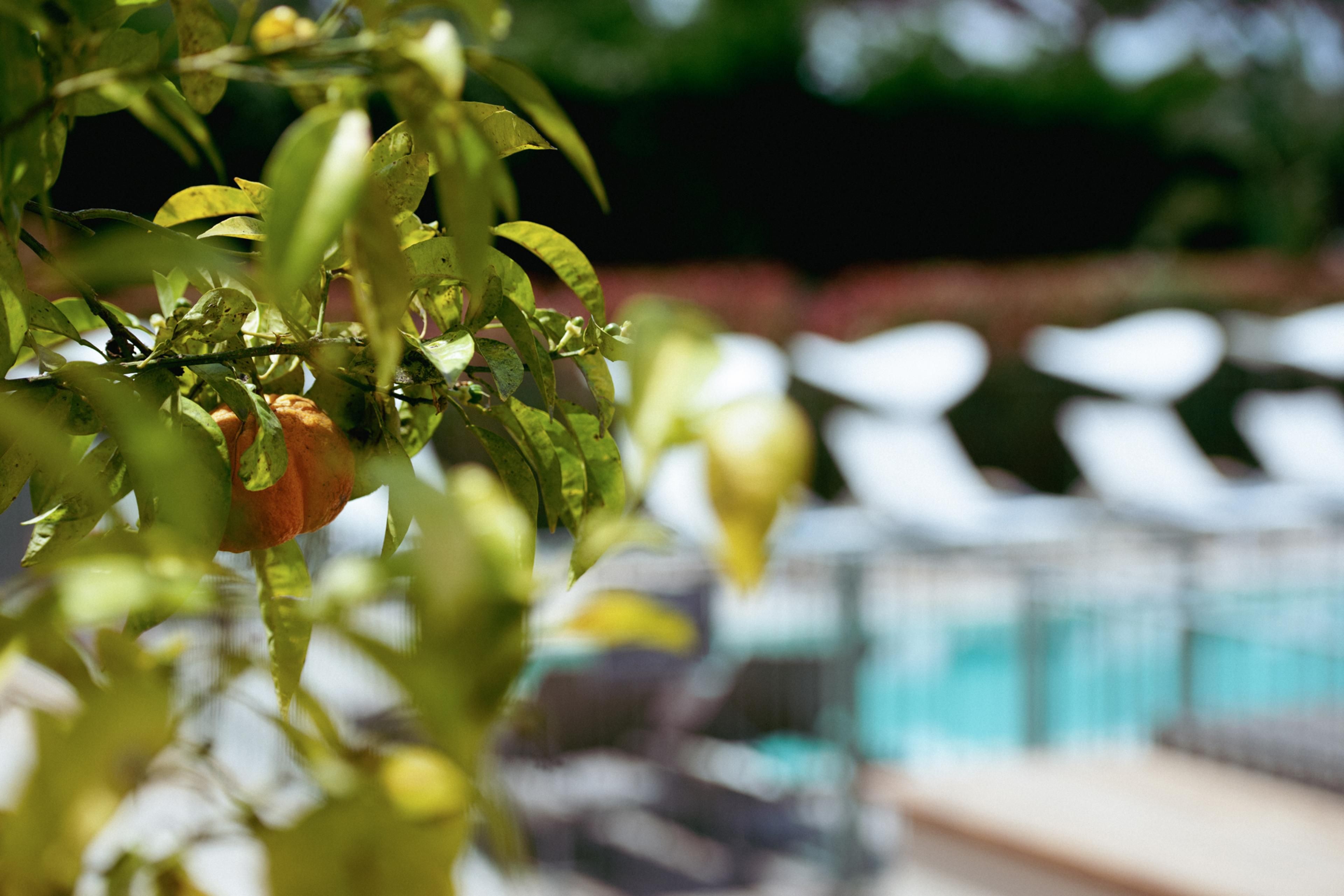 Hôtel Villa Fabulite | Site Officiel | Cap d'Antibes